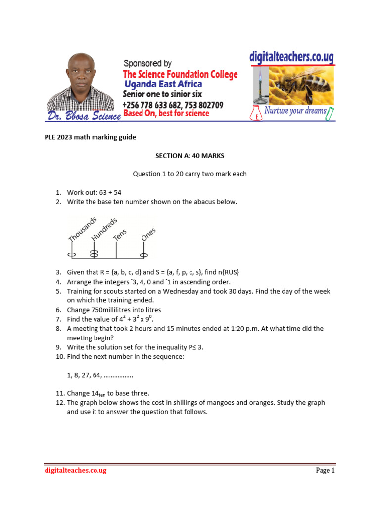 PLE 2023 Mathematics Marking Guide | PDF