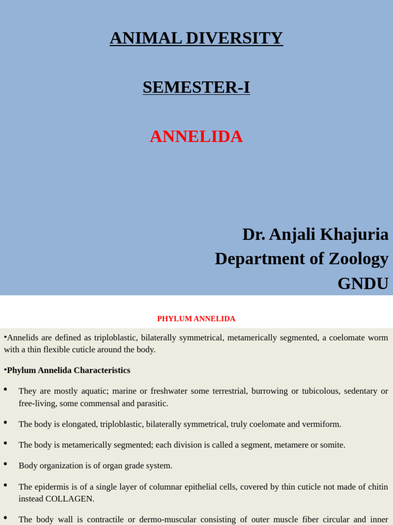 Anne Lida | PDF | Testicle | Epidermis