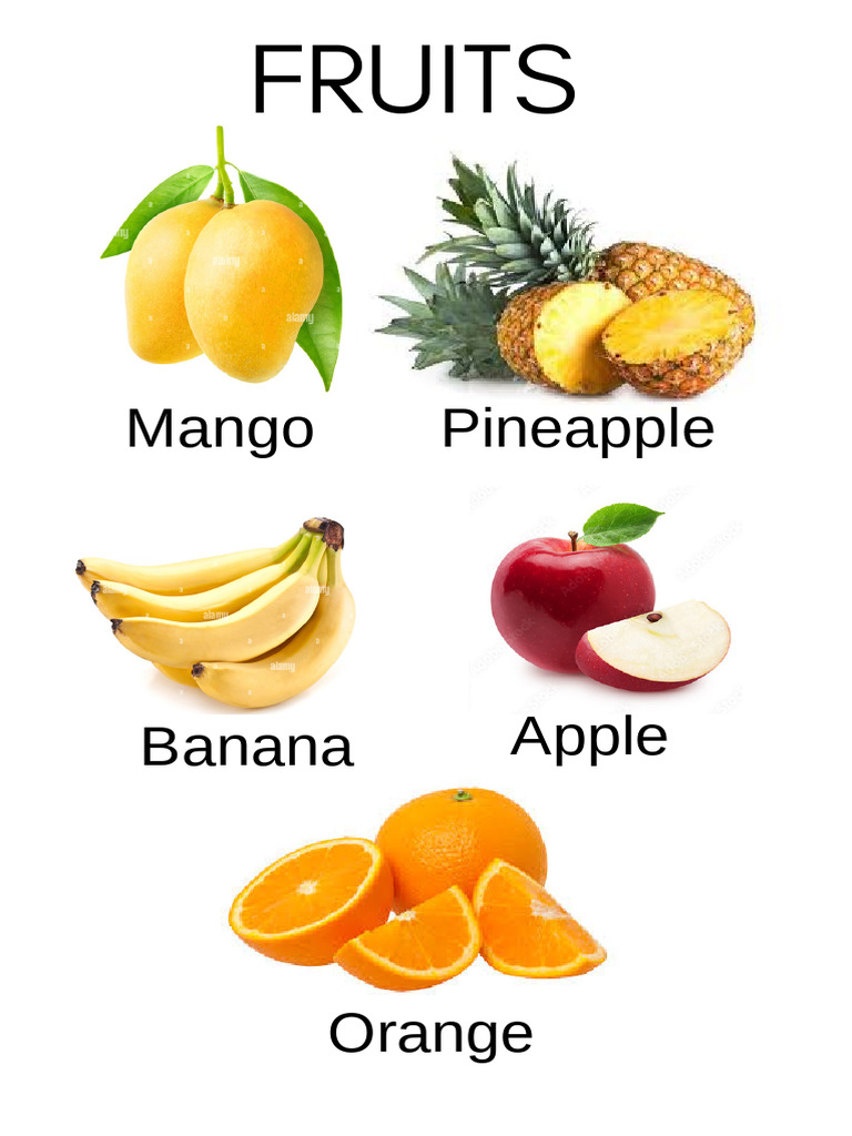 Fruits, Vegetable, Animals & Flowers | PDF