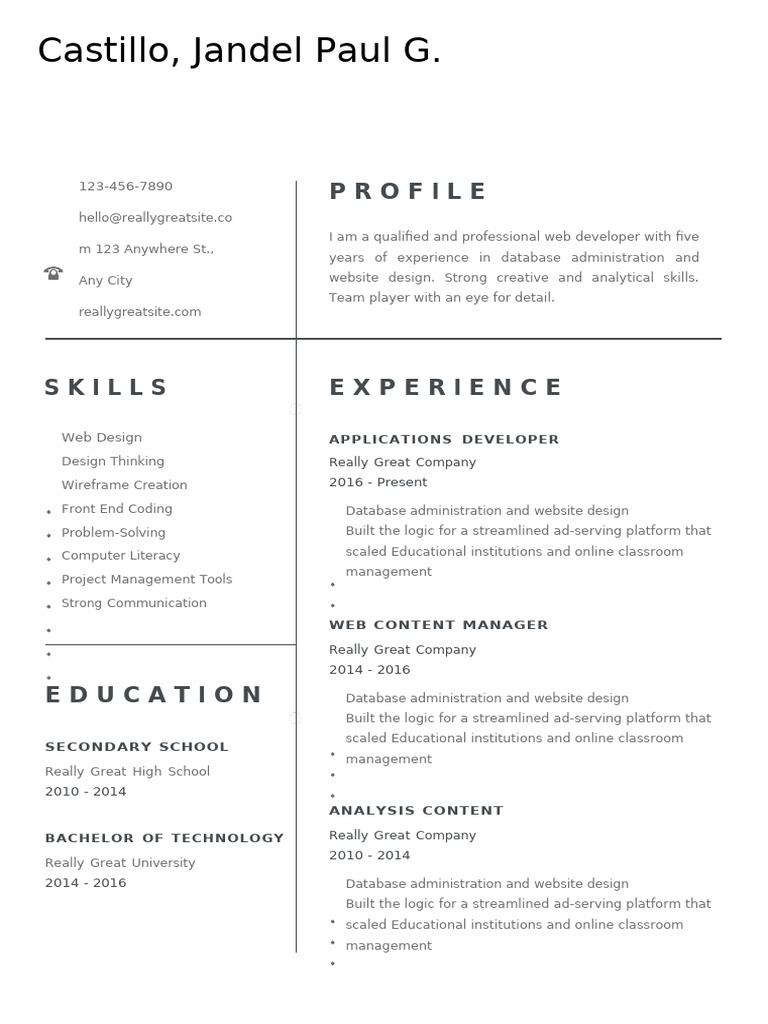 Web Developer Professional Profile | PDF