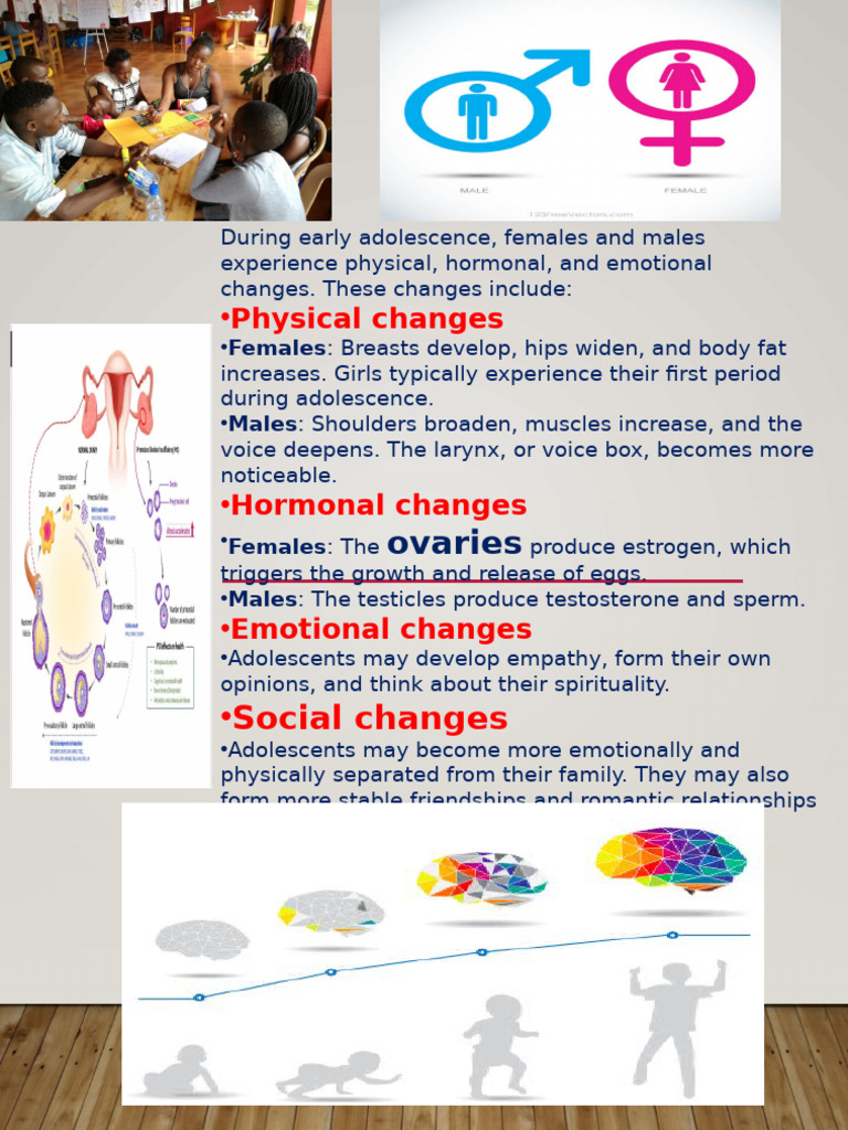 Adolescent Development Changes Explained Pdf