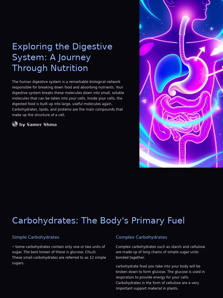 Digestive System & Nutrient Breakdown | PDF