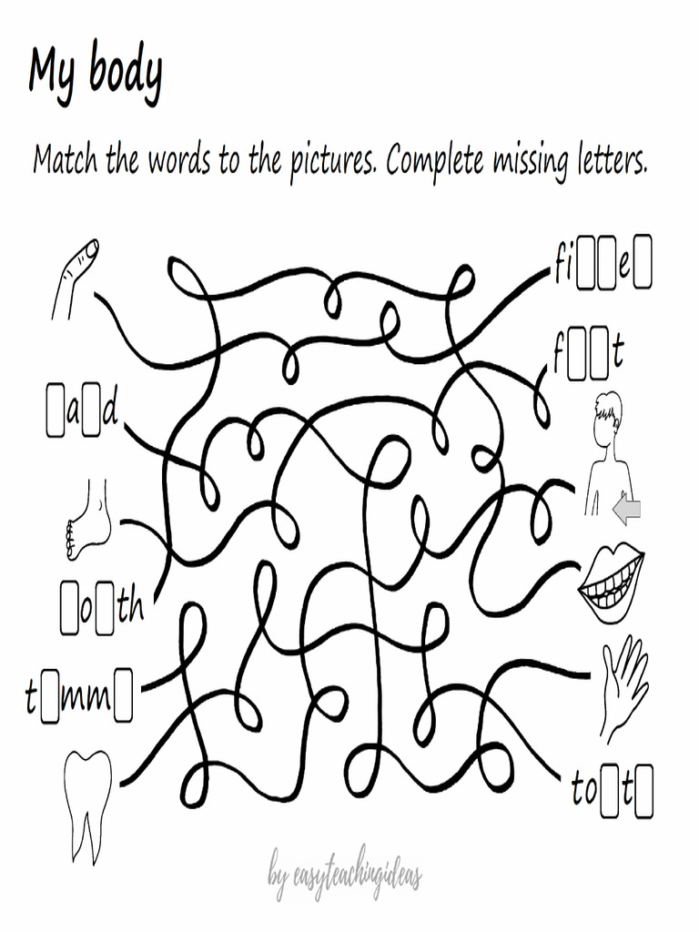 My Body Worksheet 1-Scalone | PDF