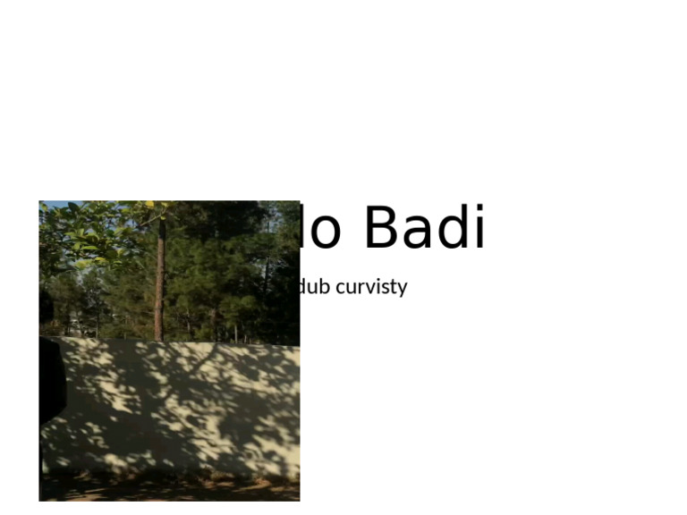 Bado Badi-WPS Office | PDF