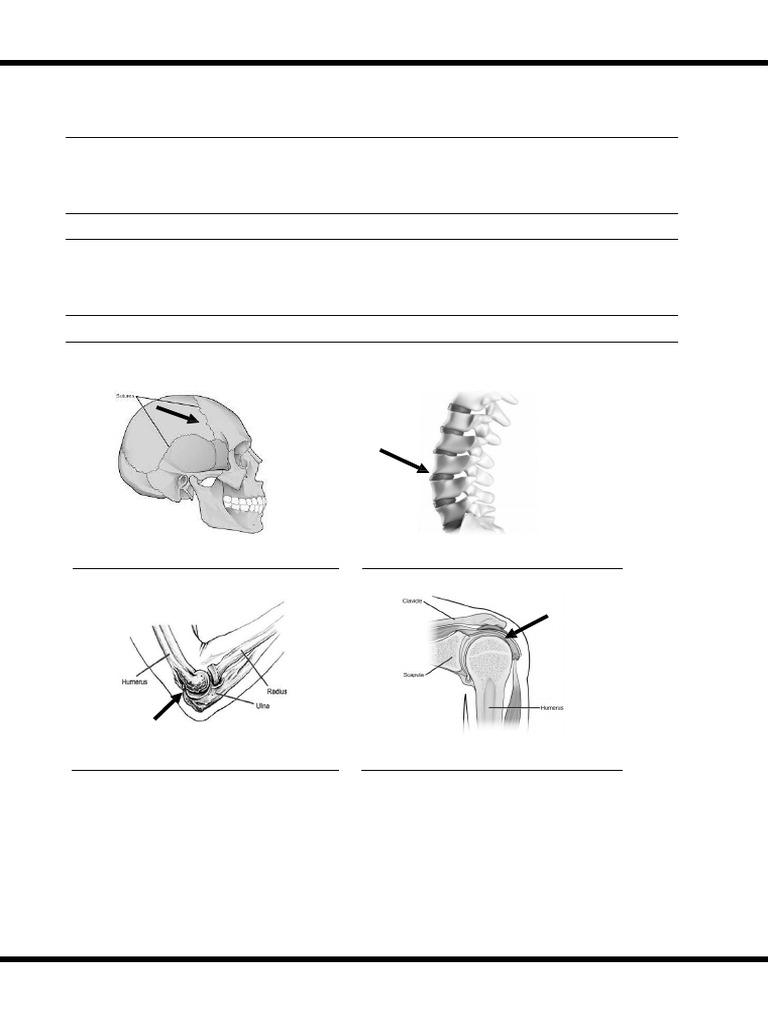 Joint Types and Movements Worksheet | PDF
