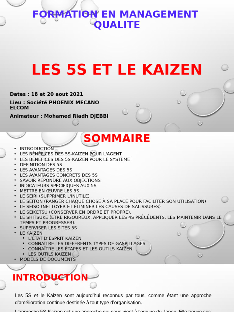 Formation en Management Qualite: Les 5S Et Le Kaizen | PDF | Lean (production)