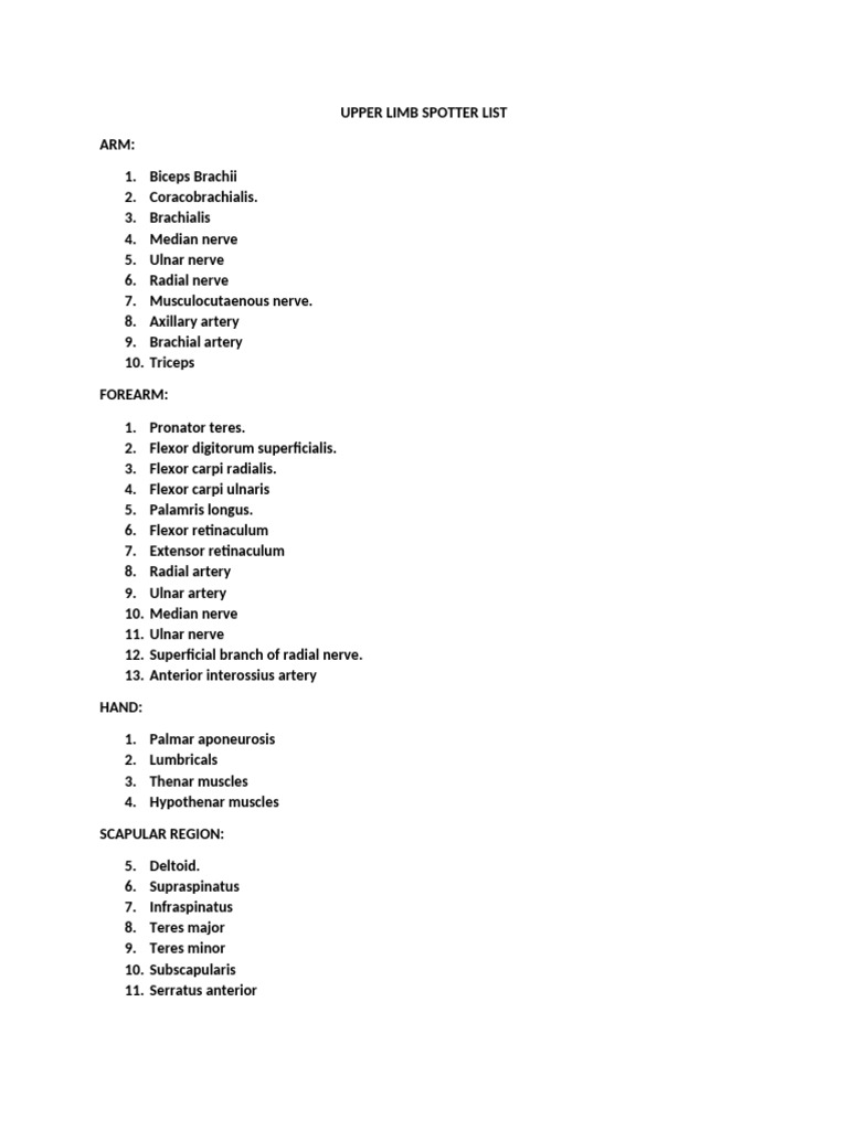 Upper Limb Anatomy Spotter List | PDF