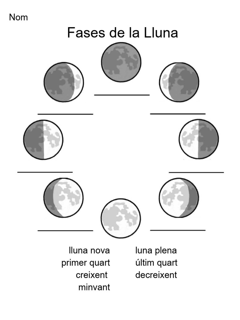 El Meu Model Fases-De-la-luna M P | PDF