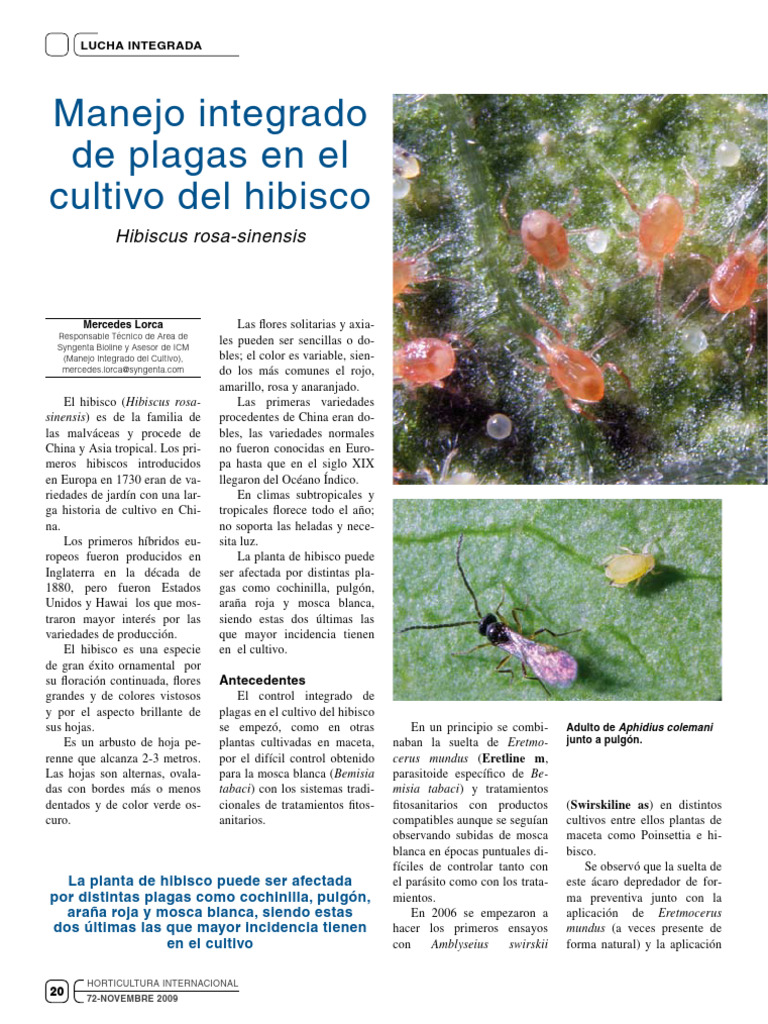 Control de Plagas en Hibisco | PDF