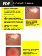 LF and NLF Bacteria in Enterobacteriaceae | PDF