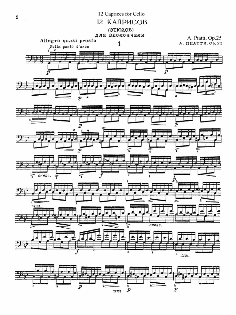 12 Caprices For Solo Cello | PDF
