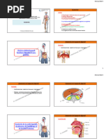 Anatomie de L'appareil Digestif | PDF | Tractus gastro-intestinal | Bile