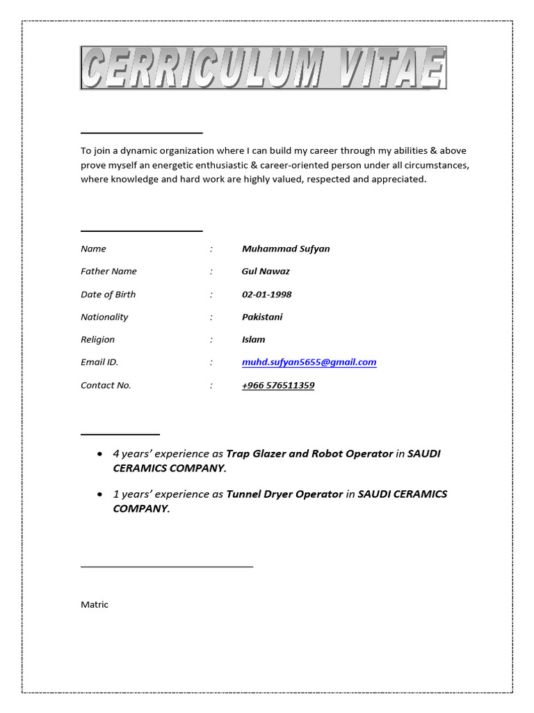 CV Muhammad Sufyan | PDF