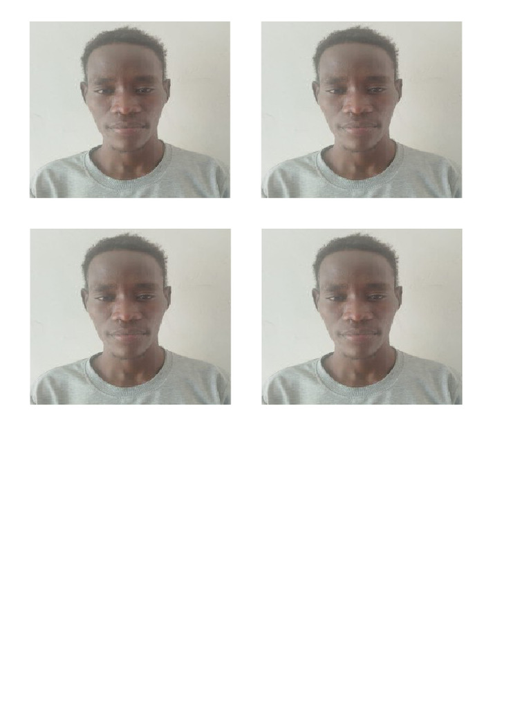 Passport | PDF