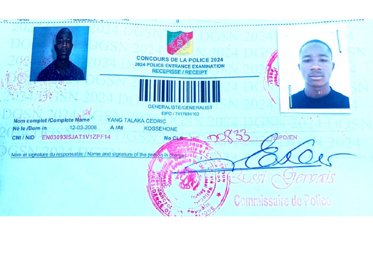 ACE Scanner - 2025 - 01 - 29 | PDF