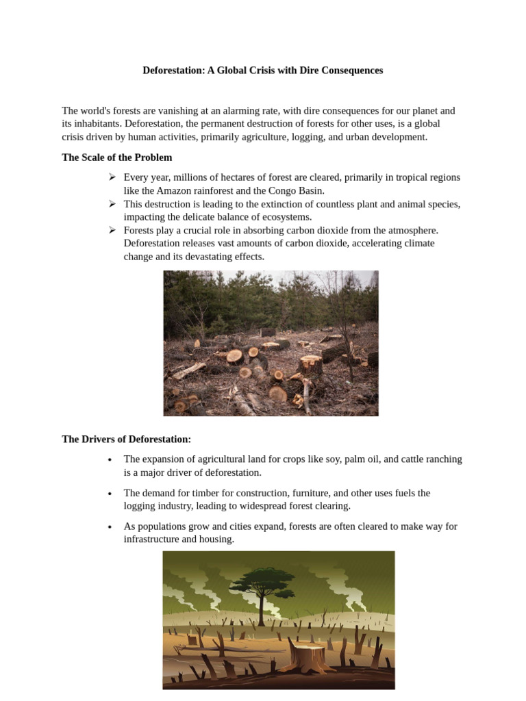 Deforestation | PDF | Deforestation | Flood