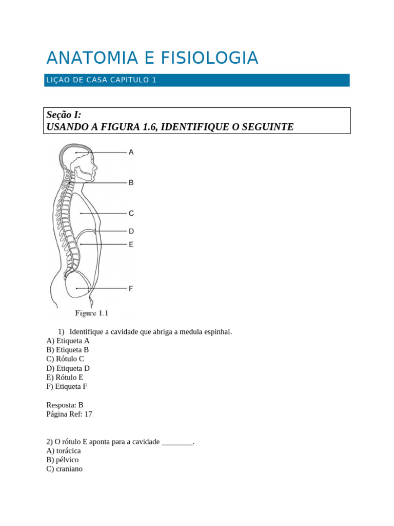 Chave de Respostas do Capítulo 1 do Dever de Casa | PDF | Corpo humano | Anatomia humana