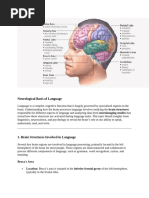 Broca's and Wernicke's Areas Explained | PDF | Frontal Lobe | Auditory ...