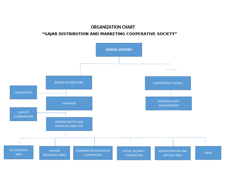 Organizational Chart Cooperative Society | PDF