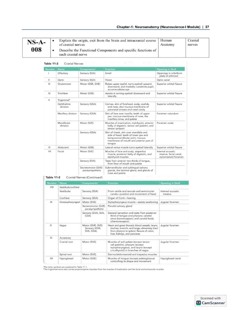 Cranial Nerves - Block 6 Medico Express B | PDF