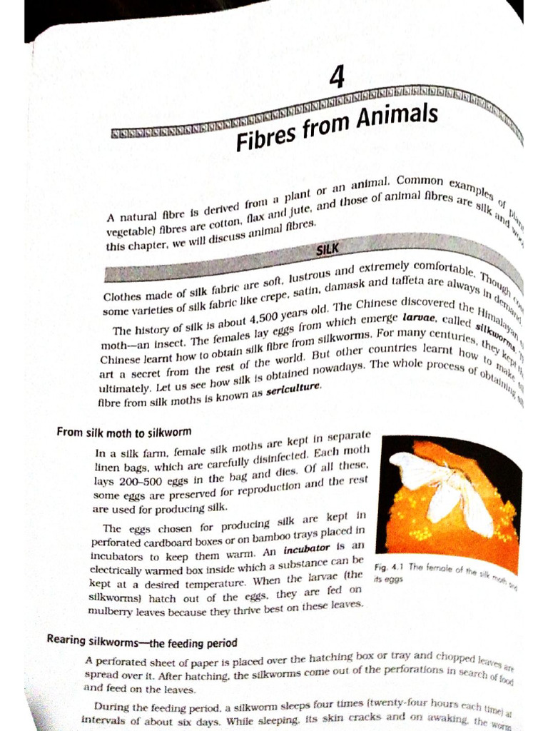 Science Ch4 | PDF