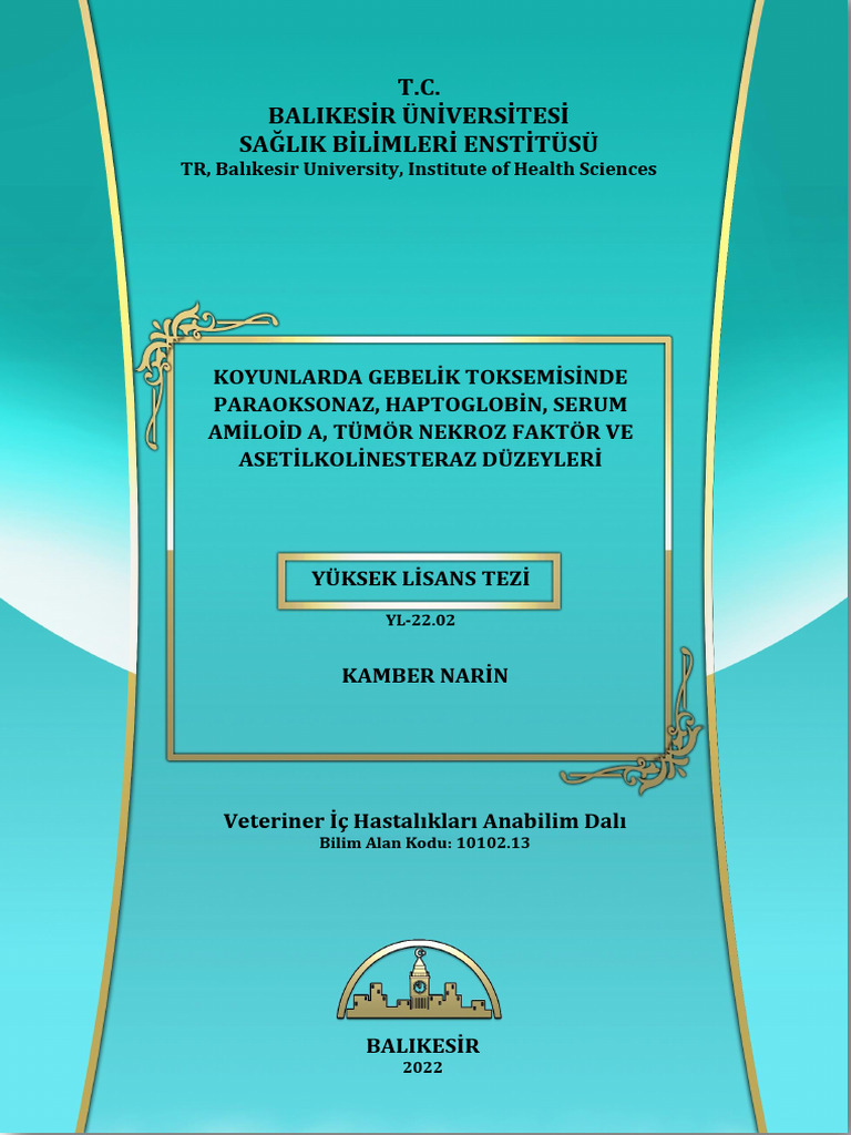 Kamber Narin | PDF