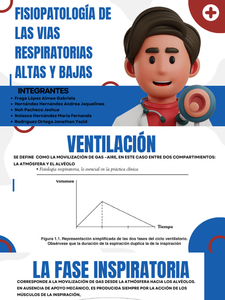 Fisiopatologias de Las Vias Respiratorias Altas y Bajas | PDF | Sistema ...
