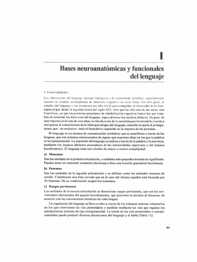 Portellano Bases Neurales Del Lenguaje | PDF