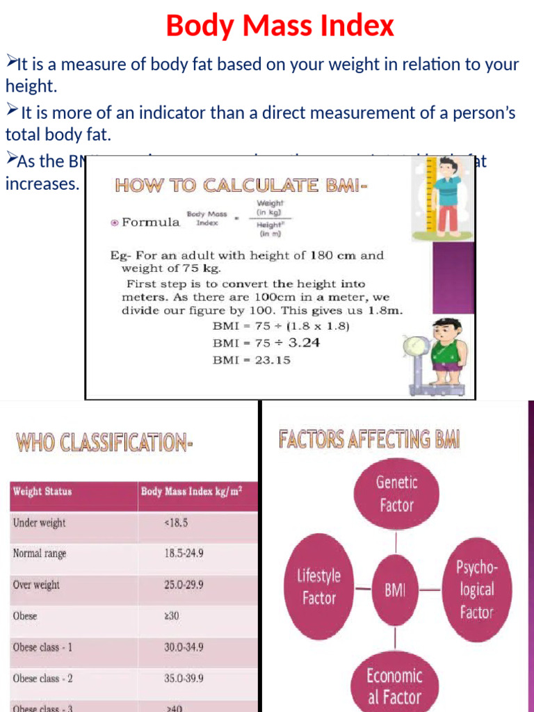 Body Mass Index | PDF