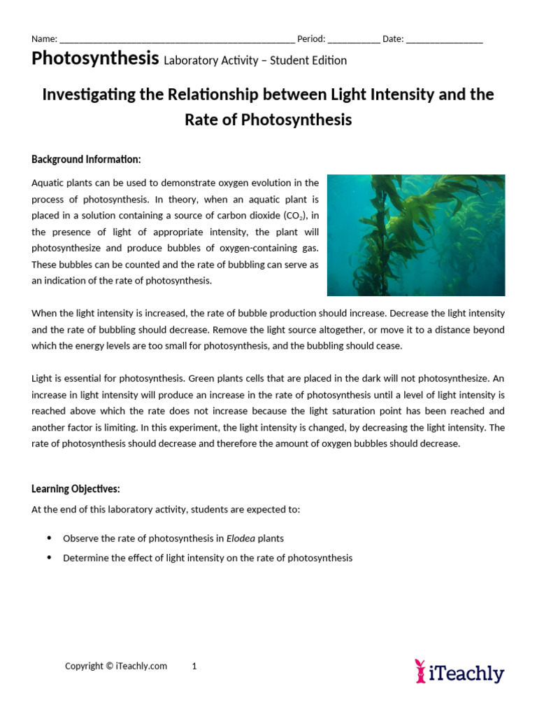 4-4-Laboratory-Activity-SE-Photosynthesis | PDF | Photosynthesis ...