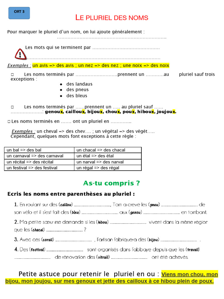 Pluriel des noms : règles et exceptions | PDF