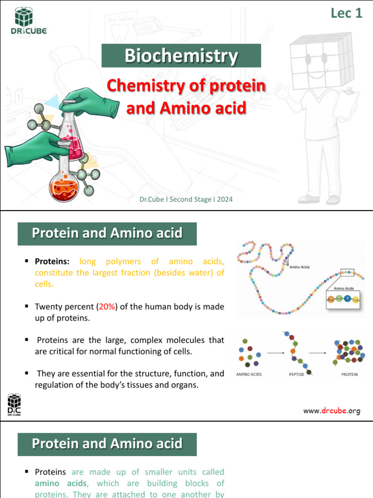 Biochemistry Lec.1 Chemistry of Protein & Amino Acid | PDF | Amino Acid ...
