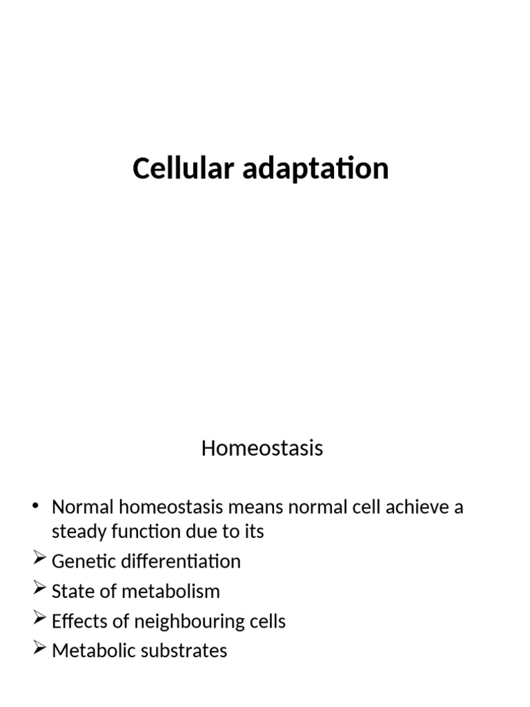 Cellular Adaptation | PDF | Epithelium | Cellular Differentiation