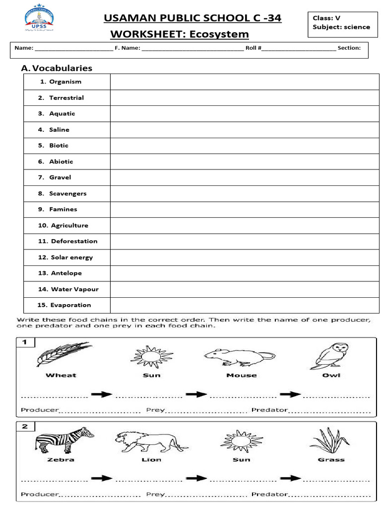 Work Sheet Ecosystem | PDF