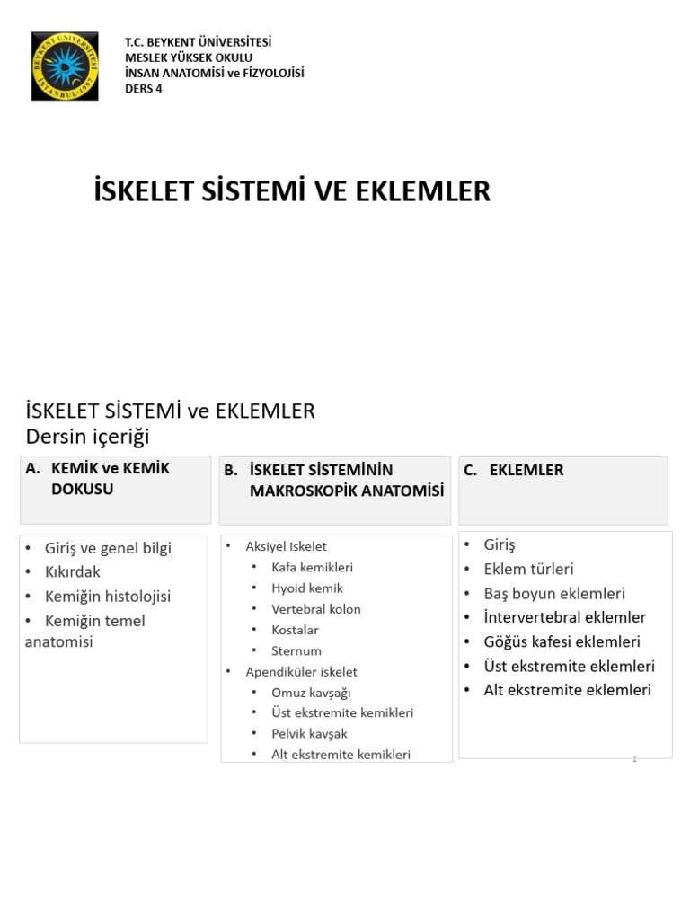 ders_4_i̇skelet_si̇stemi̇_ve_eklemler_1 (1) | PDF