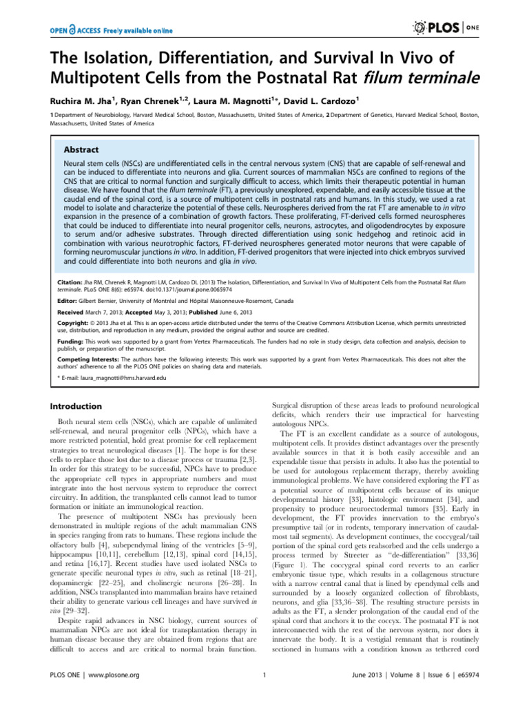 The Isolation, Differentiation, and Survival in Vivo of Multipotent ...