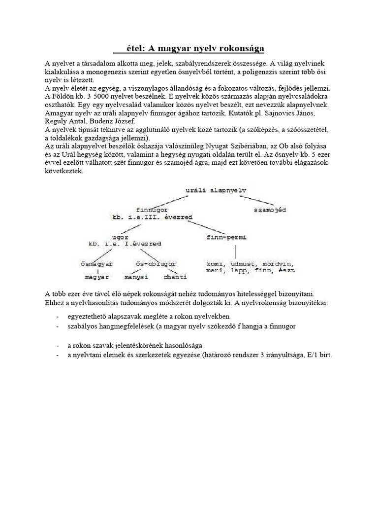 A Magyar Nyelv Eredete, Finnugor Nyelvrokonság Bemutatása | PDF