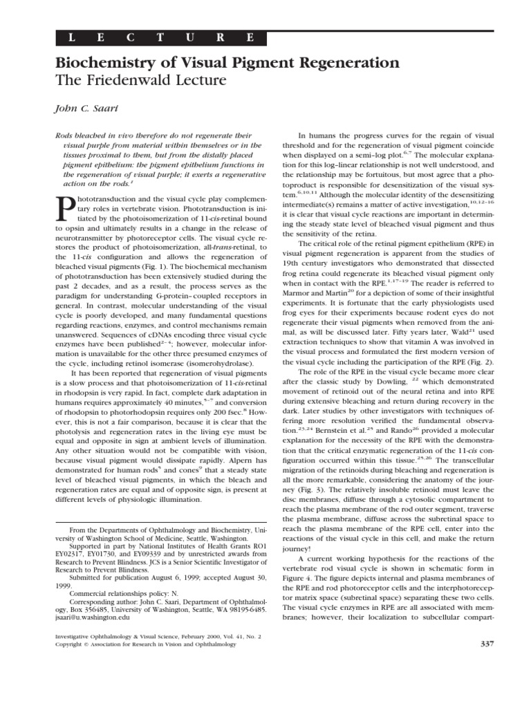 Walds Visual Cycle | PDF | Retina | Metabolic Pathway