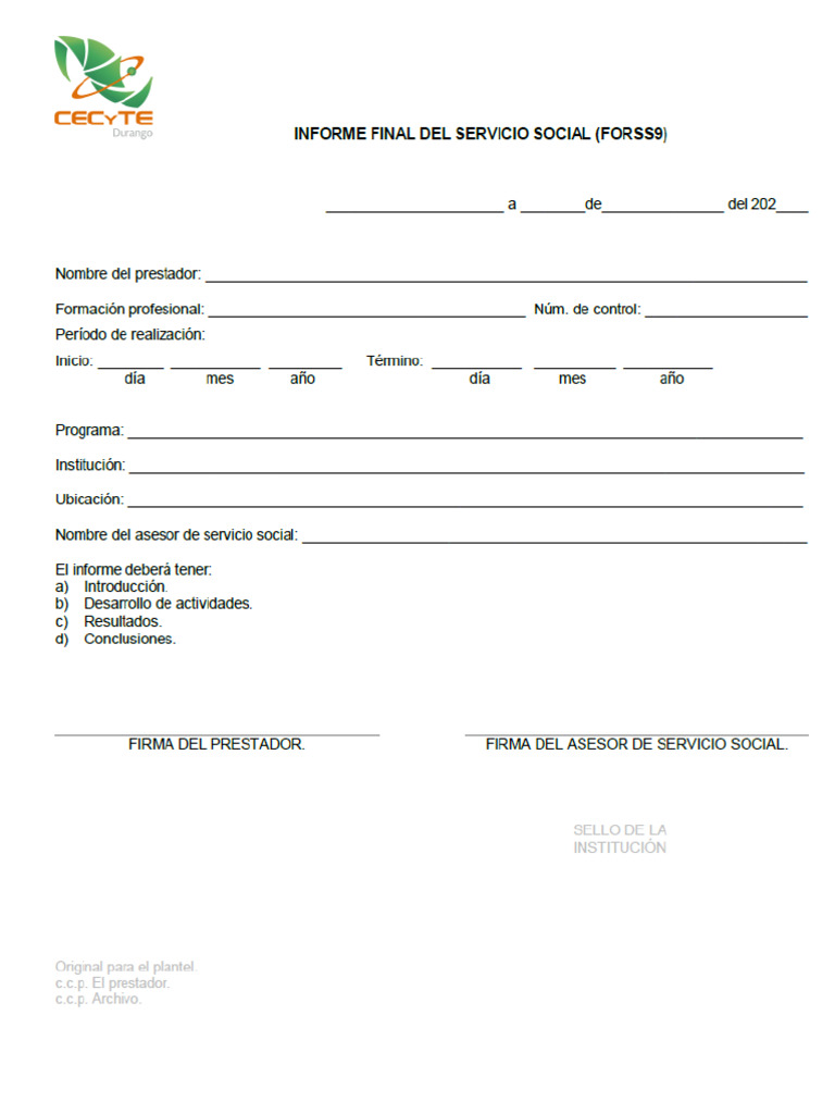 Formato de Informe Final | PDF