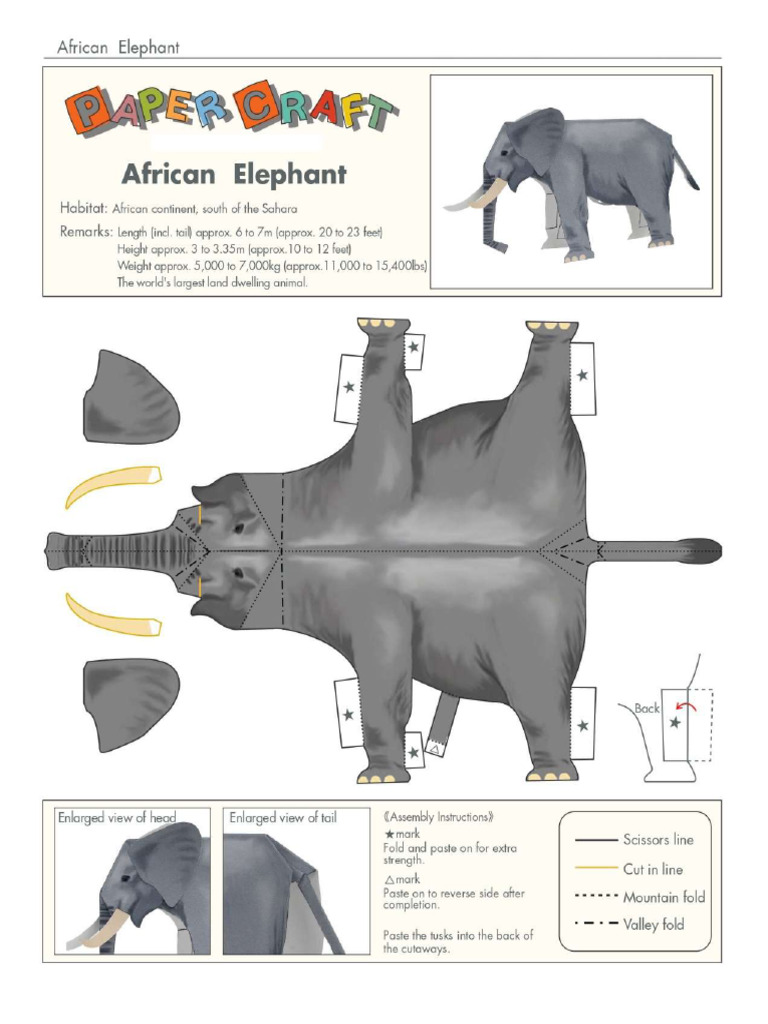 Paper Craft Activity - African Elephant | PDF