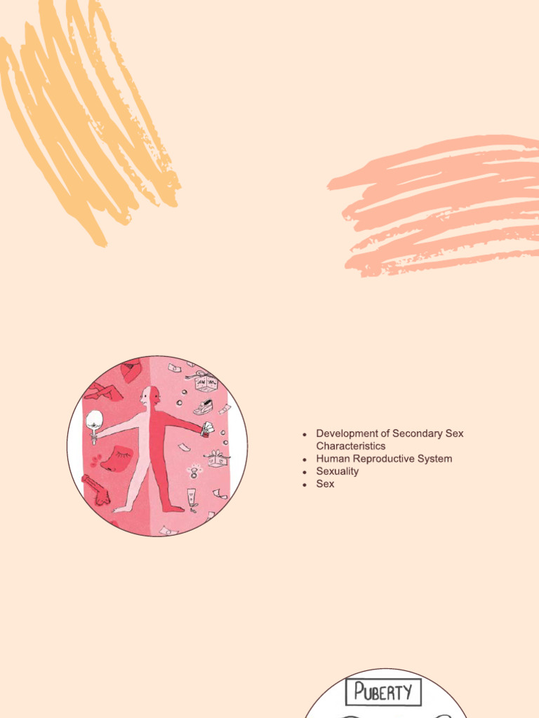 The Sexual Self Compressed | PDF | Human Sexuality | Puberty