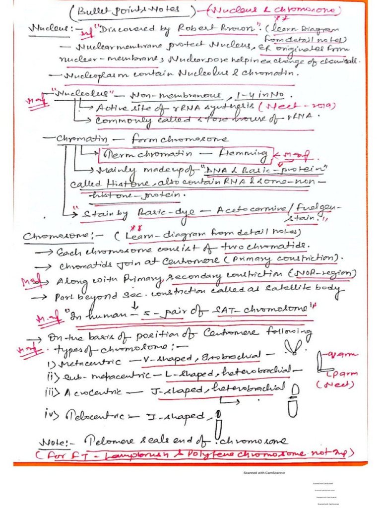 RCM-3 2 | PDF
