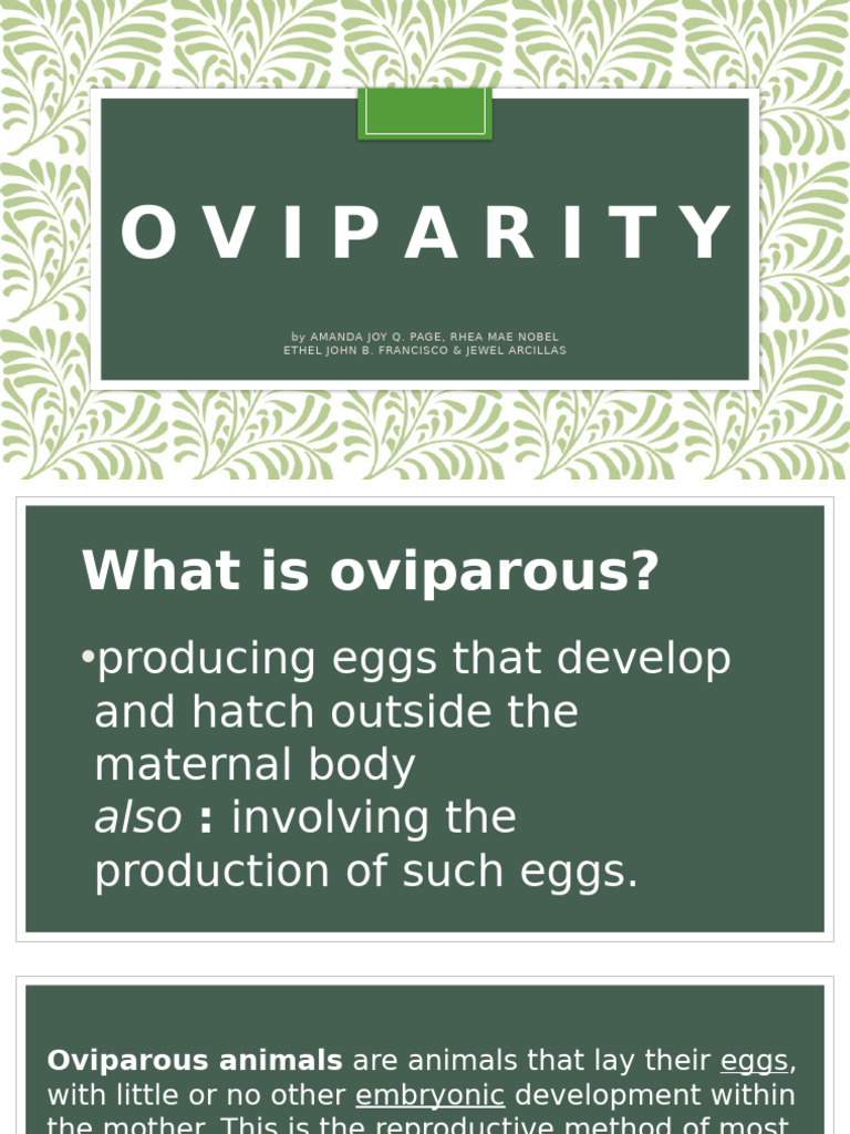 11-Honesty Oviparity Amanda's Group | PDF | Sexual Reproduction ...