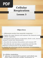 Cellular Respiration Quiz Guide | PDF | Cellular Respiration ...