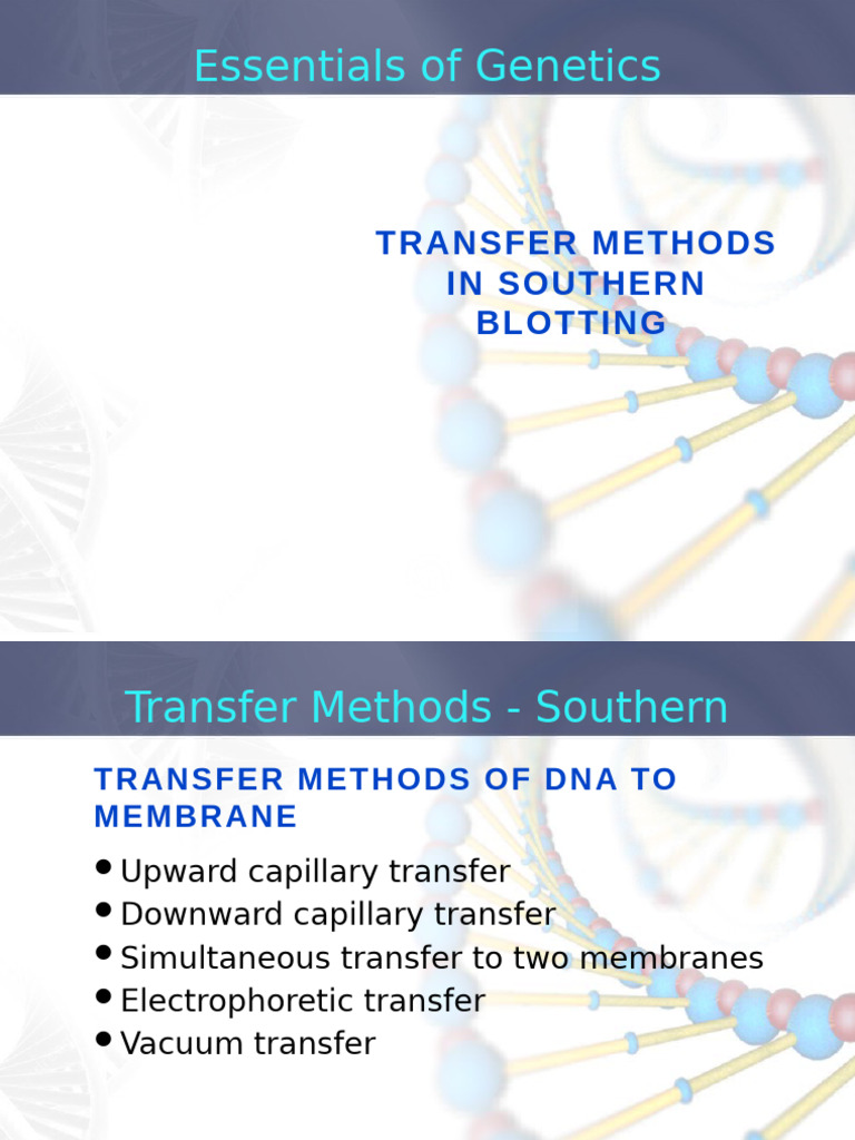 Lesson 245_Transfer Methods of DNA to Membrane | PDF