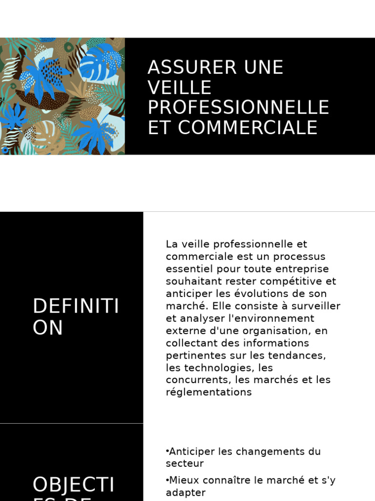 Assurer Une Veille Professionnelle Et Commerciale | PDF