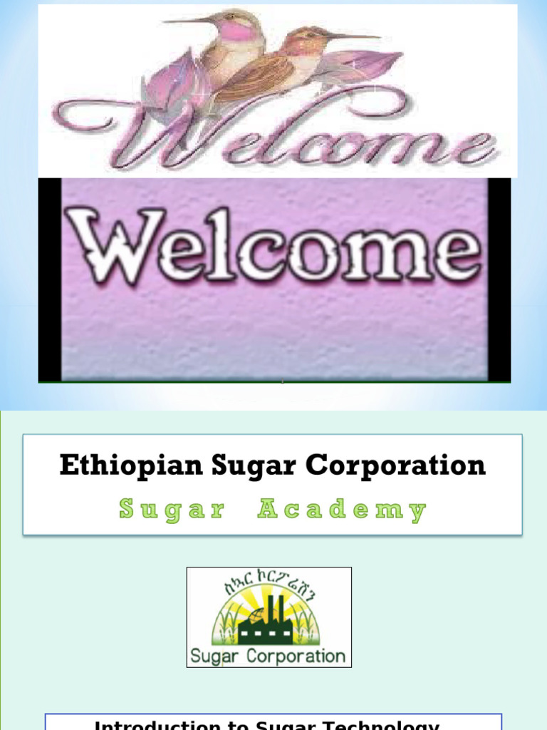 For Mechanical and Cane Preparation | PDF | Sugar | Diet & Nutrition