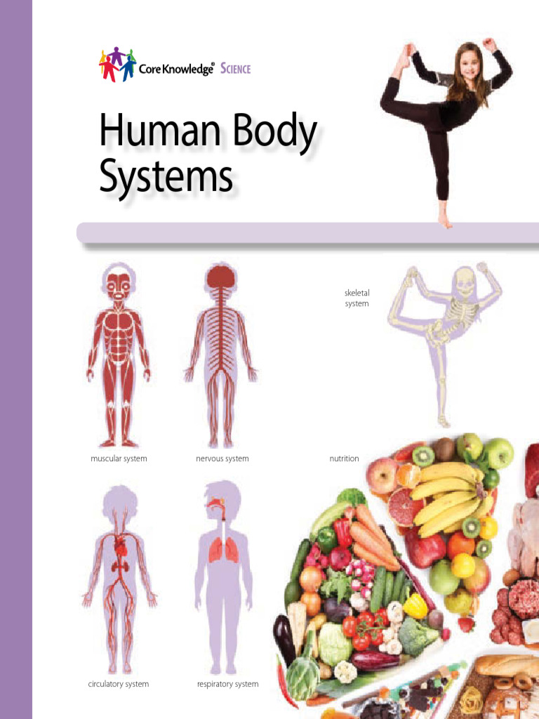 CKSci G1U5 Human-Body-Systems SR | PDF | Breathing | Heart
