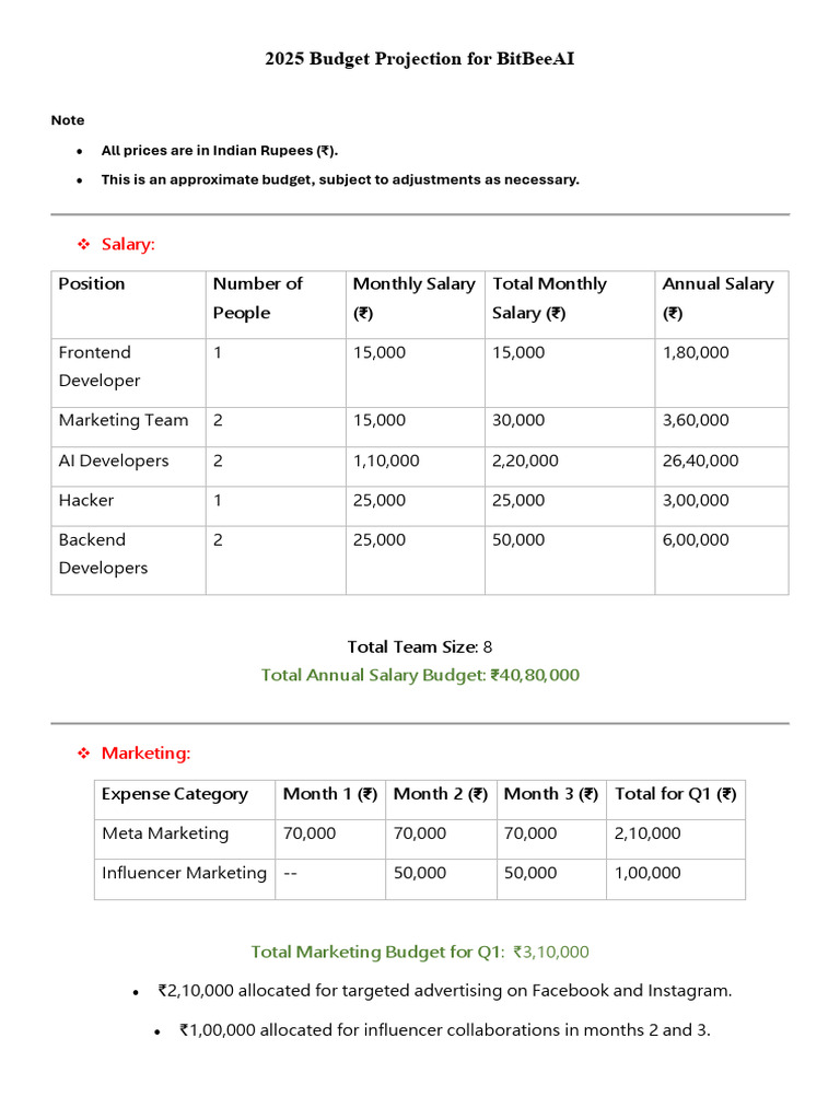 2025 Budget Overview for BitBeeAI | PDF | Personal Computers | Computer ...