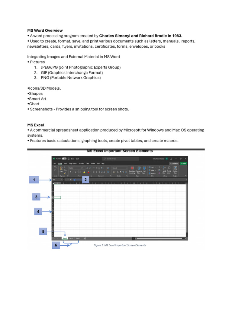 MS Softwares Overview | PDF | Microsoft Word | Graphics
